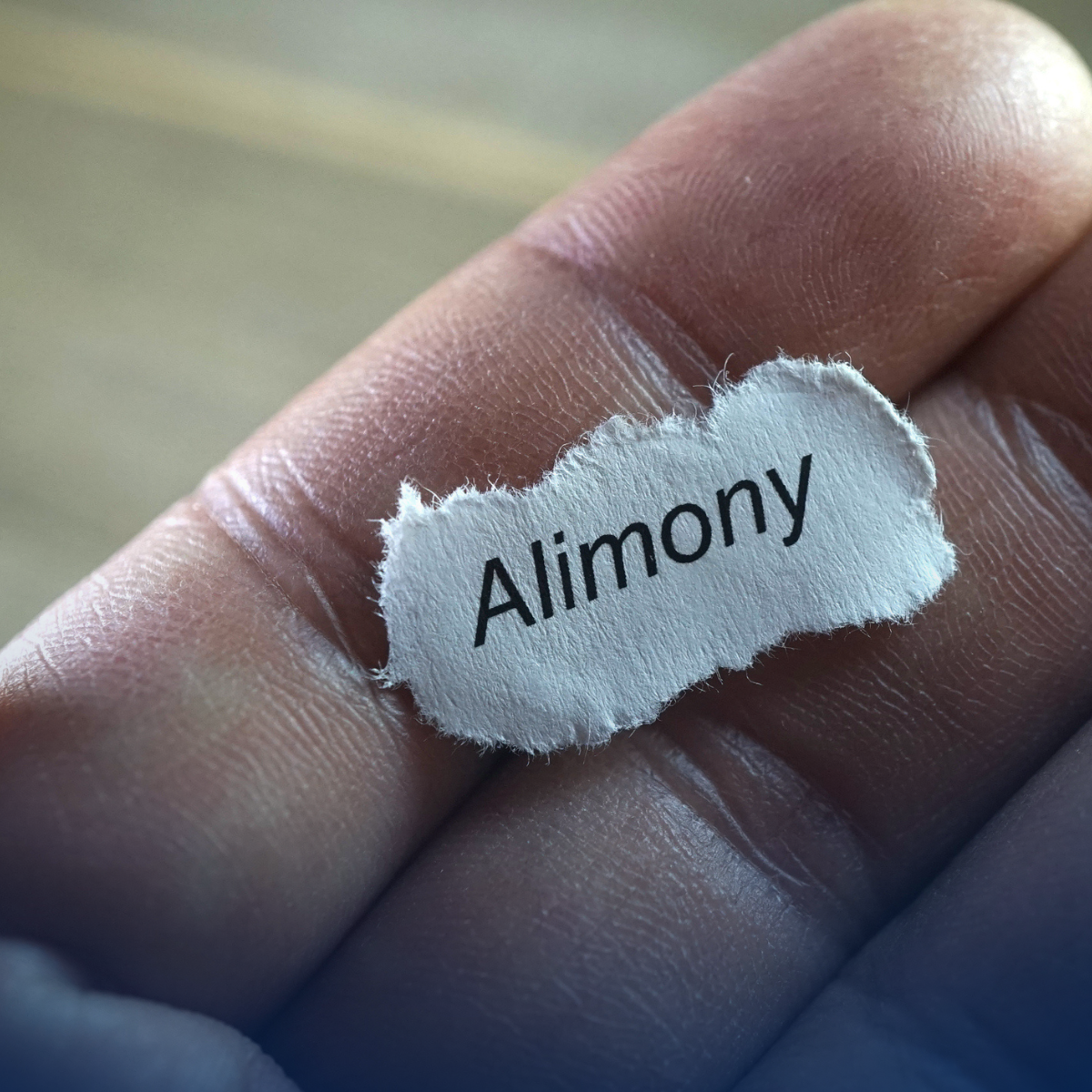Alimony Lawyers in Raleigh, NC